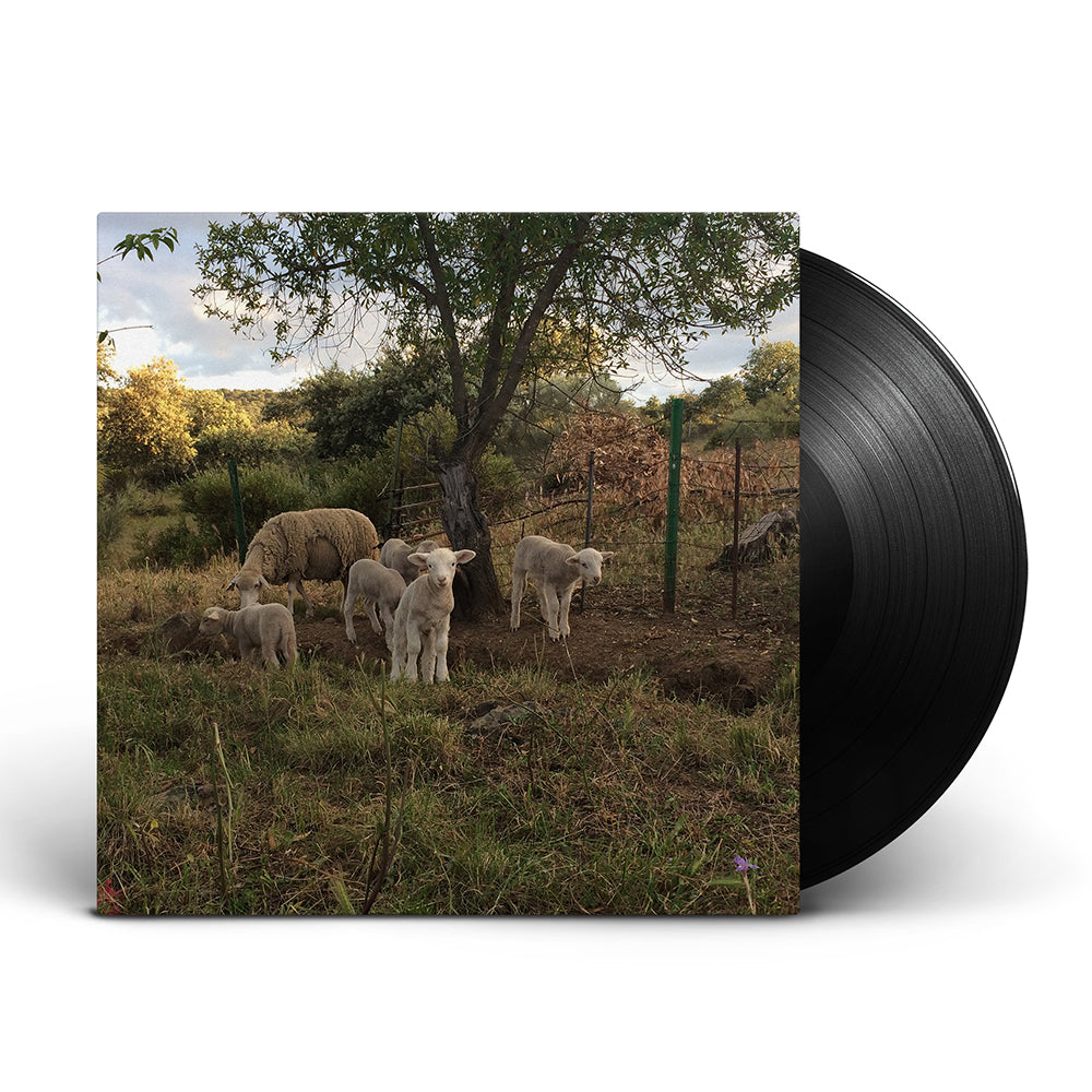 Josephine Foster - 'No Harm Done' – Fire Records